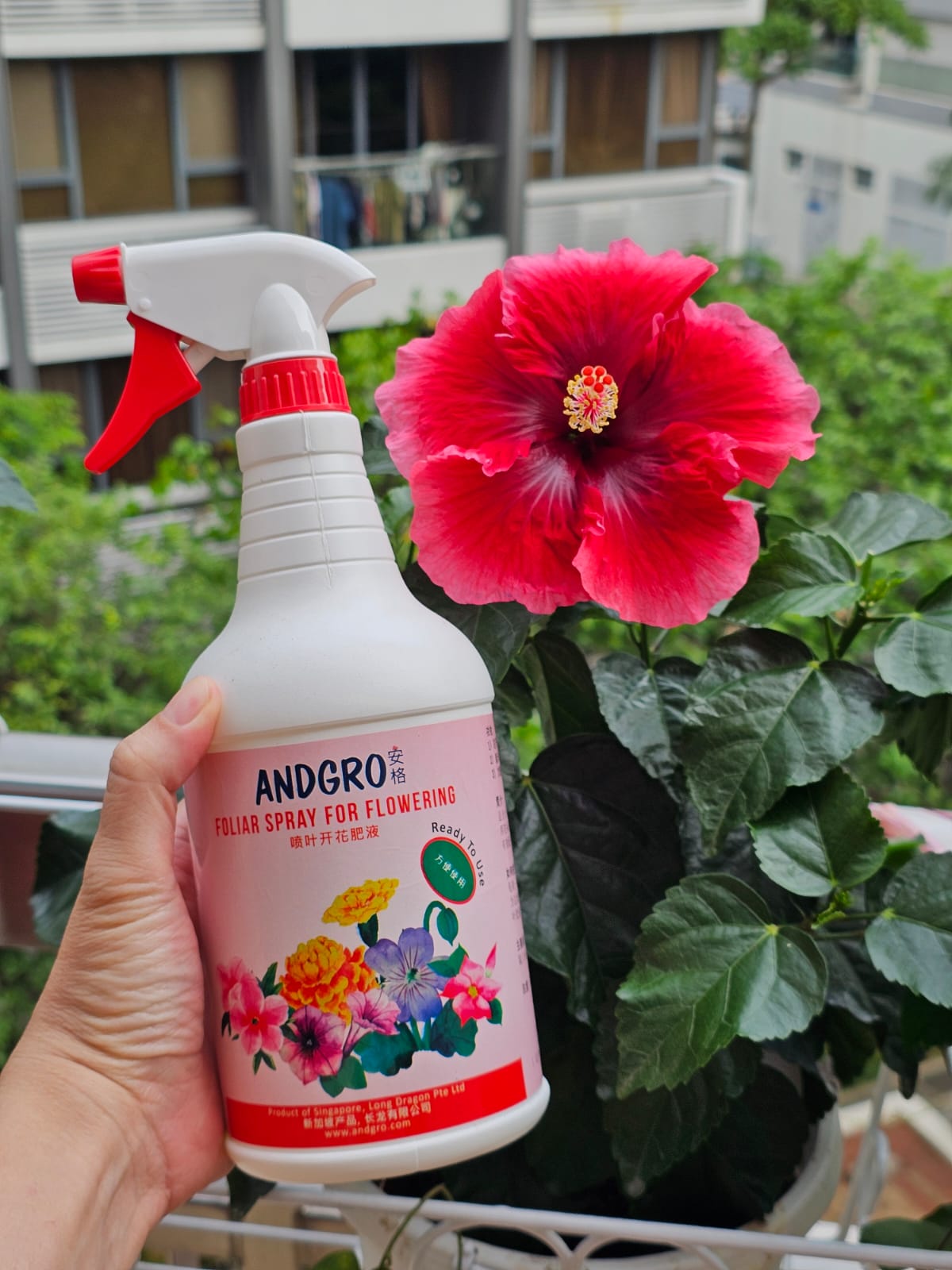 ANDGRO Foliar Spray for Flowering (1000ml) | Shopee Singapore