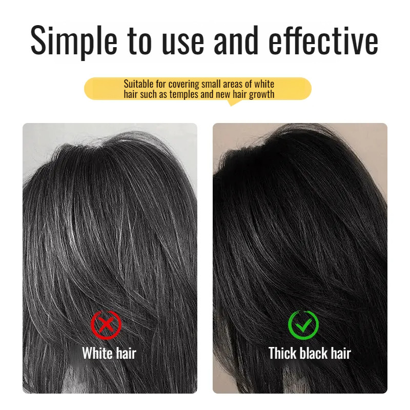 SG STOCK Hair Color Stick Waterproof Sweat Hair Dye Comb to Cover Gray ...