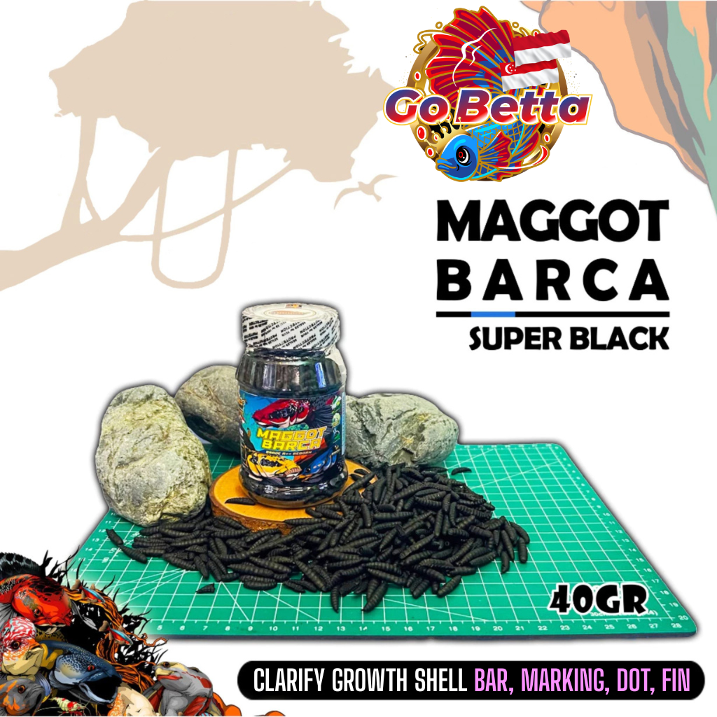 🇸🇬 MAGGOT BARCA SUPER BLACK Fish Feed 40g Boost Flower Line & Marking ...