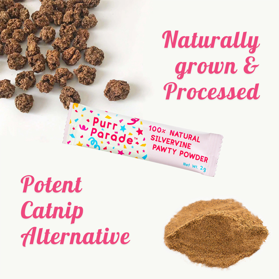 CATLOOTS SG All Natural Matatabi Silvervine Powder Cats Kittens Catnip ...