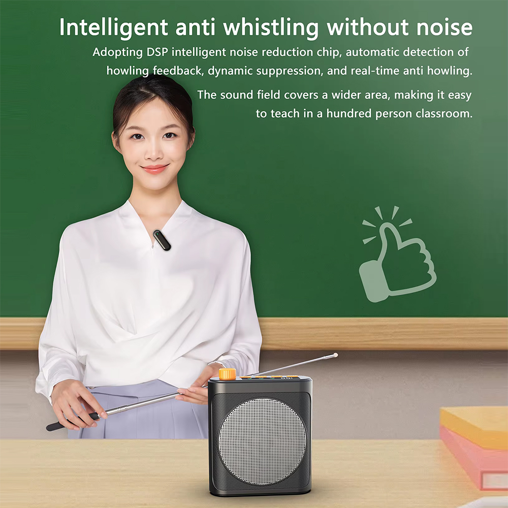 2 in 1 Handheld Wireless Microphone Professional Head-Wear Mic Voice ...