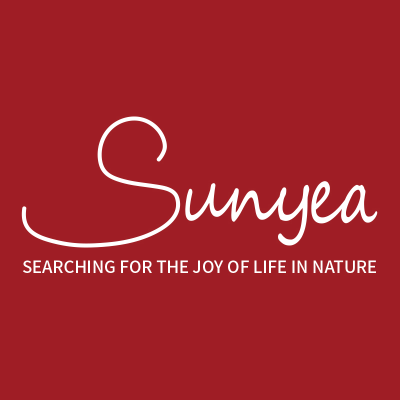 SUNYEA Official Store Cordless Waterless Nebulizer Ultrasonic Aroma ...