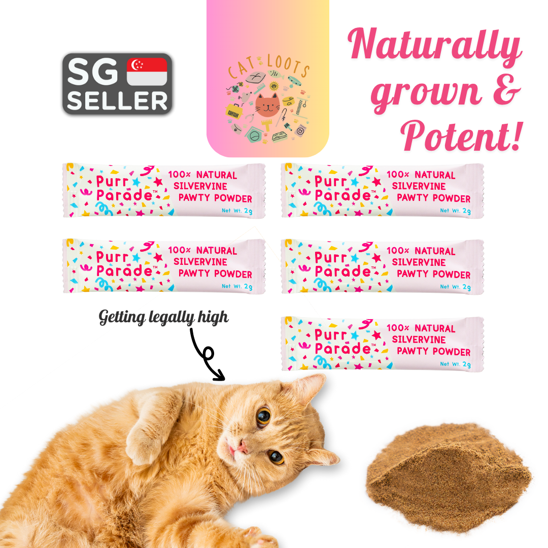 CATLOOTS SG All Natural Matatabi Silvervine Powder Cats Kittens Catnip ...