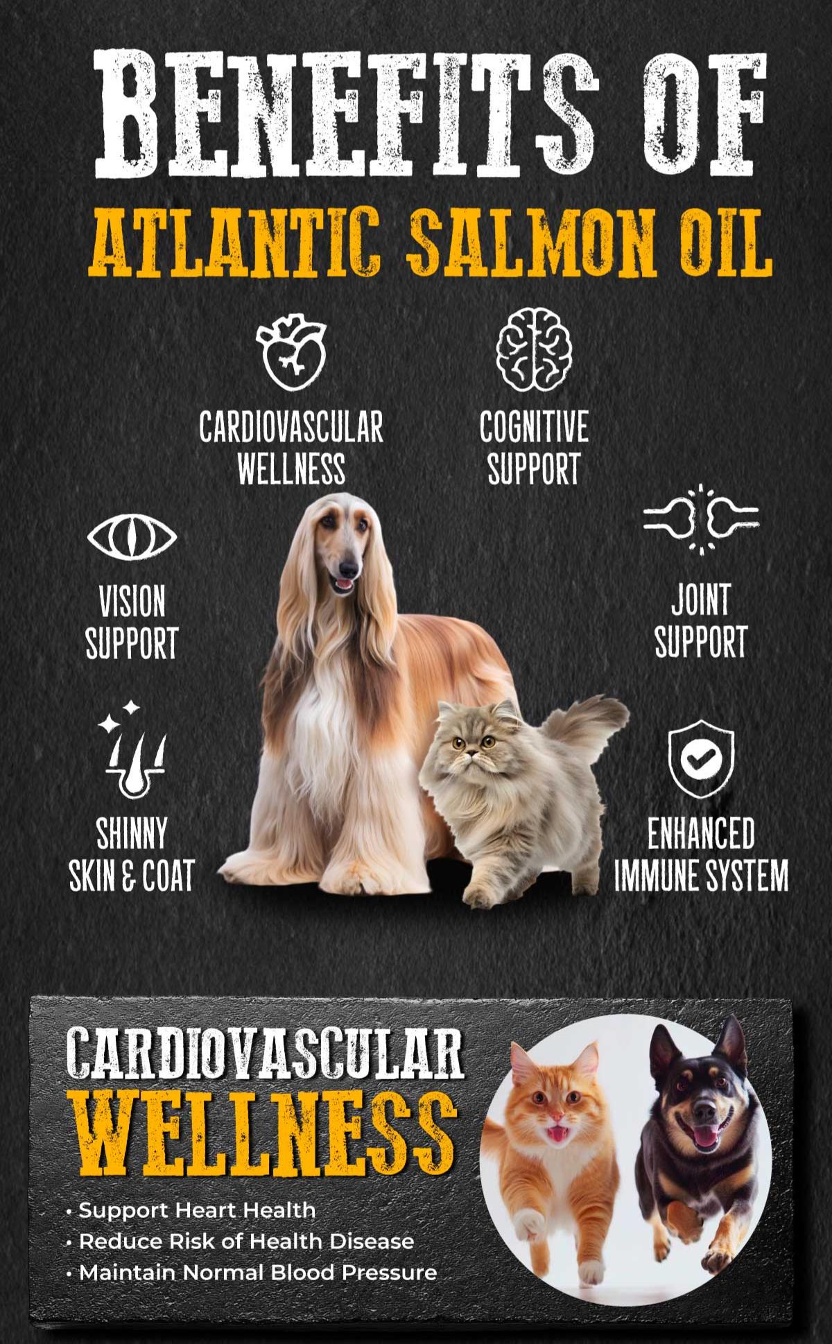 Absolute Holistic Wild Salmon Fish Oil Natural Pet Supplement for Cats ...