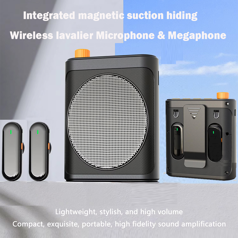 2 in 1 Handheld Wireless Microphone Professional Head-Wear Mic Voice ...