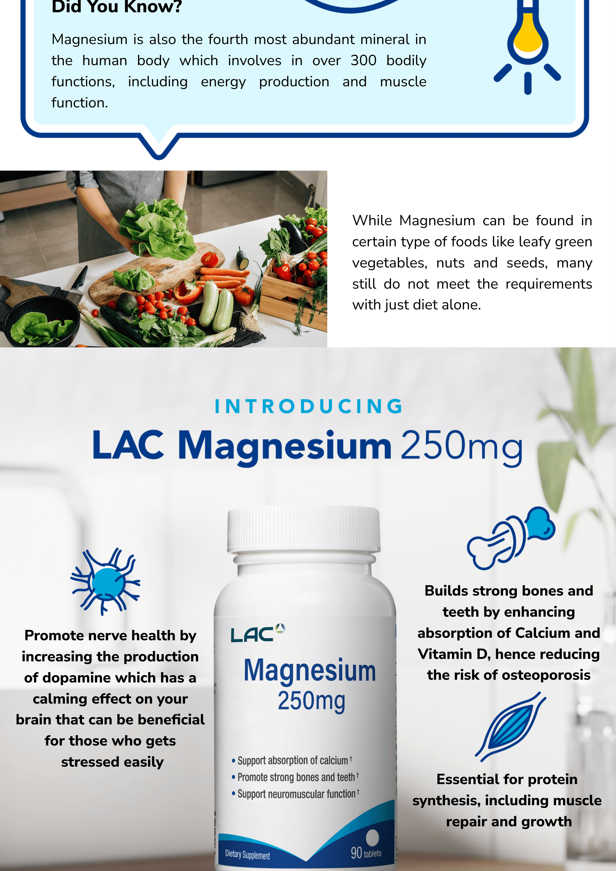 [LAC MINERALS] Magnesium 250mg (90 tablets) | Shopee Singapore