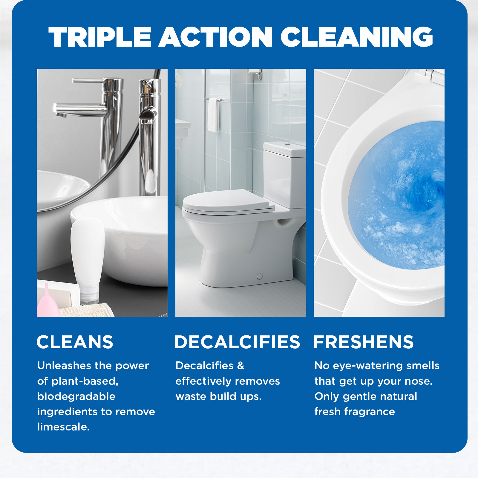 [Bundle of 2] Ecover Toilet Cleaner - Pine and Mint 750ml | Shopee Singapore