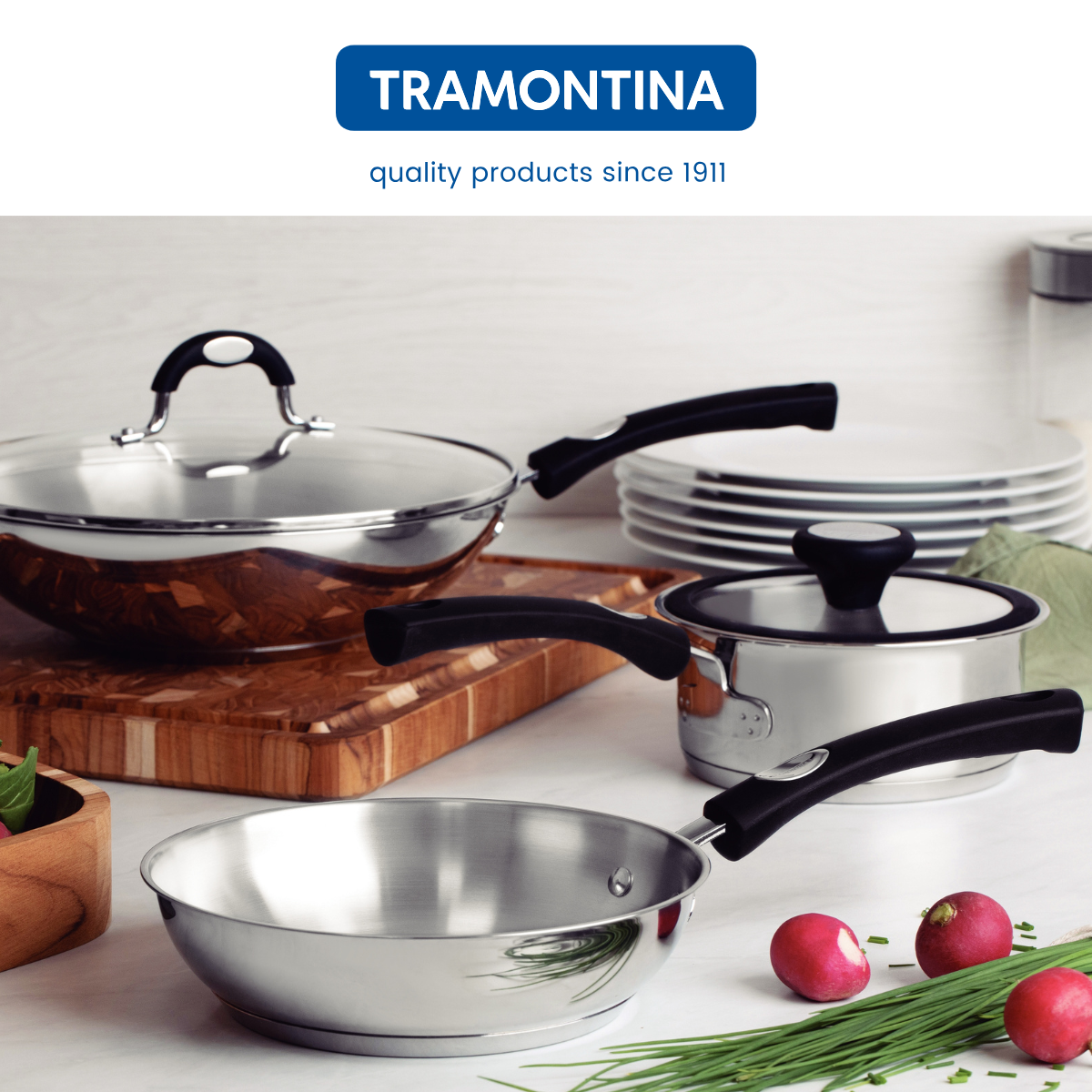 Tramontina Solar Silicone 20cm Frying Pan, 18/10 Stainless Steel/Tri/3 ...
