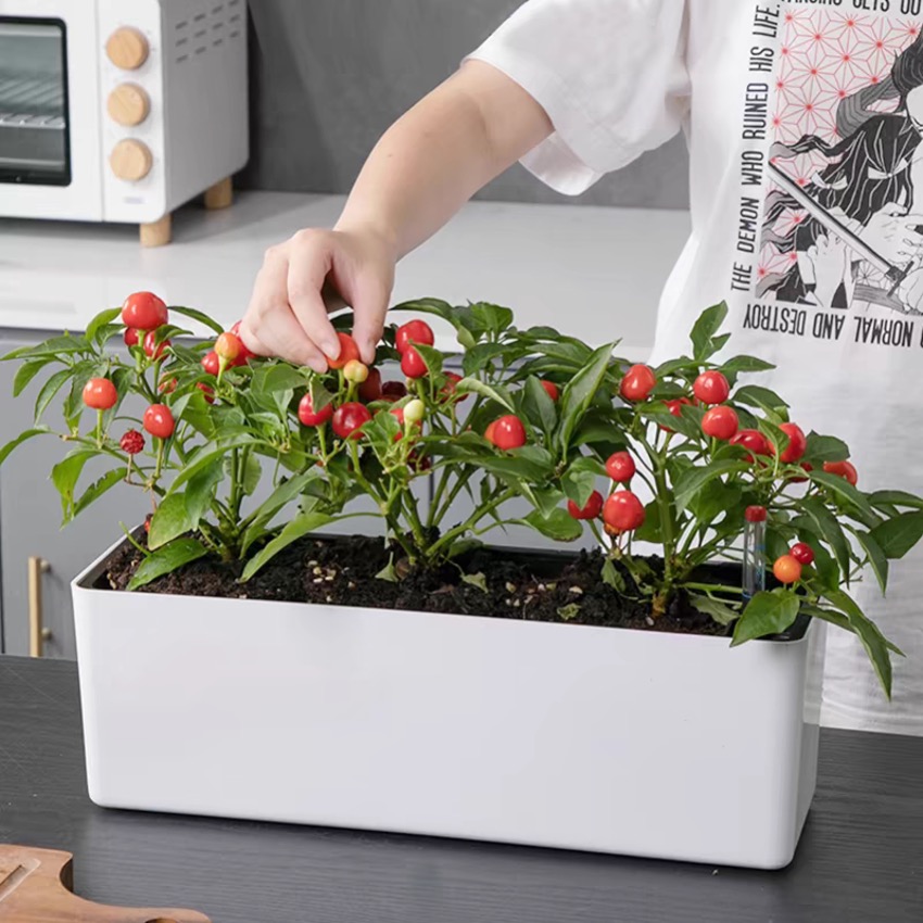 White Pot Self Watering Pot with water level Indicator self watering ...