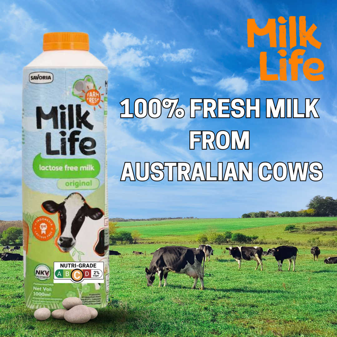 MilkLife™ Lactose Free Fresh Milk - Fresh Milk from Australian Cows ...