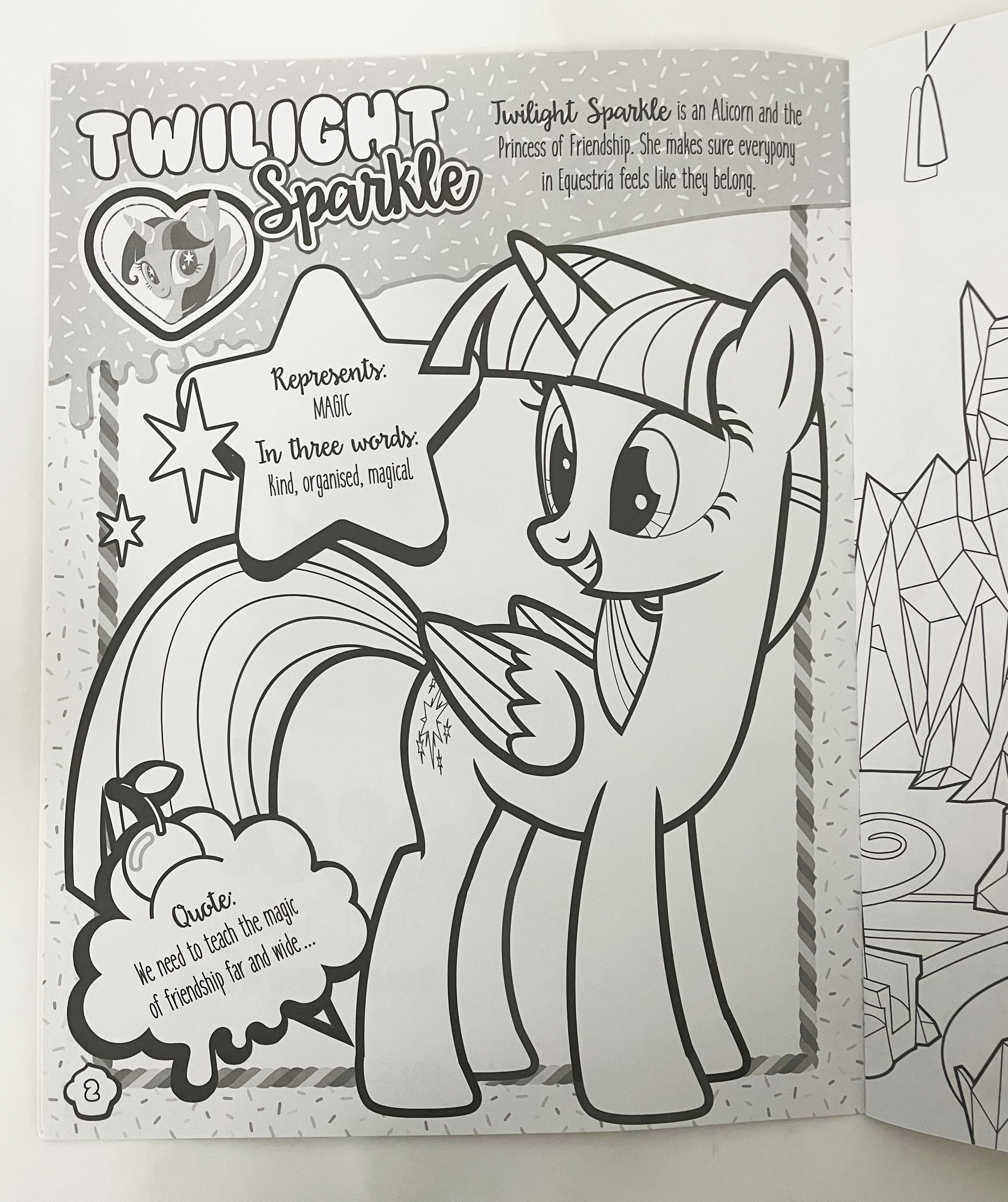 My Little Pony Activity Book & Floor Puzzle Large Gift Set For Kids To ...