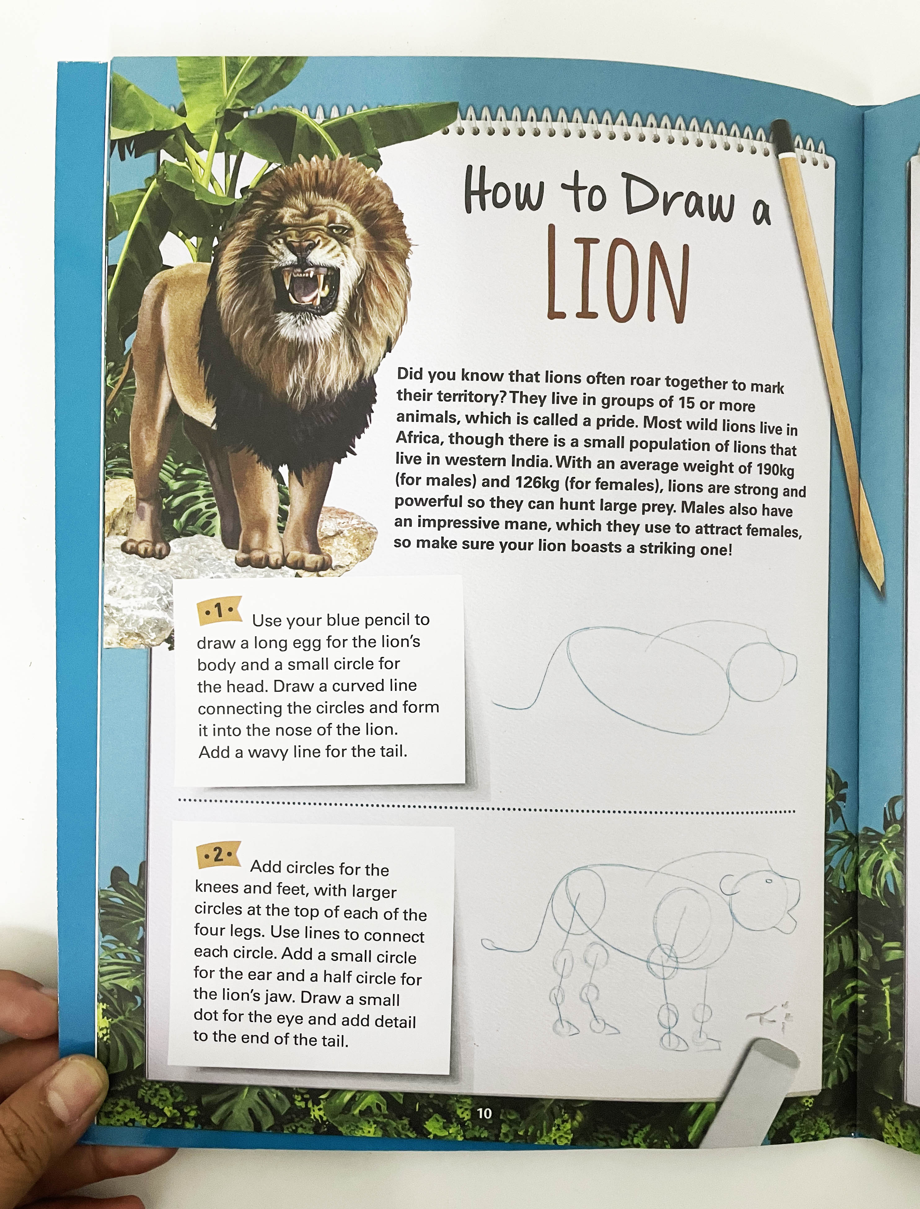 How to Draw Animals Book & Kit Gift Box For Kids With Stationery Sketch ...