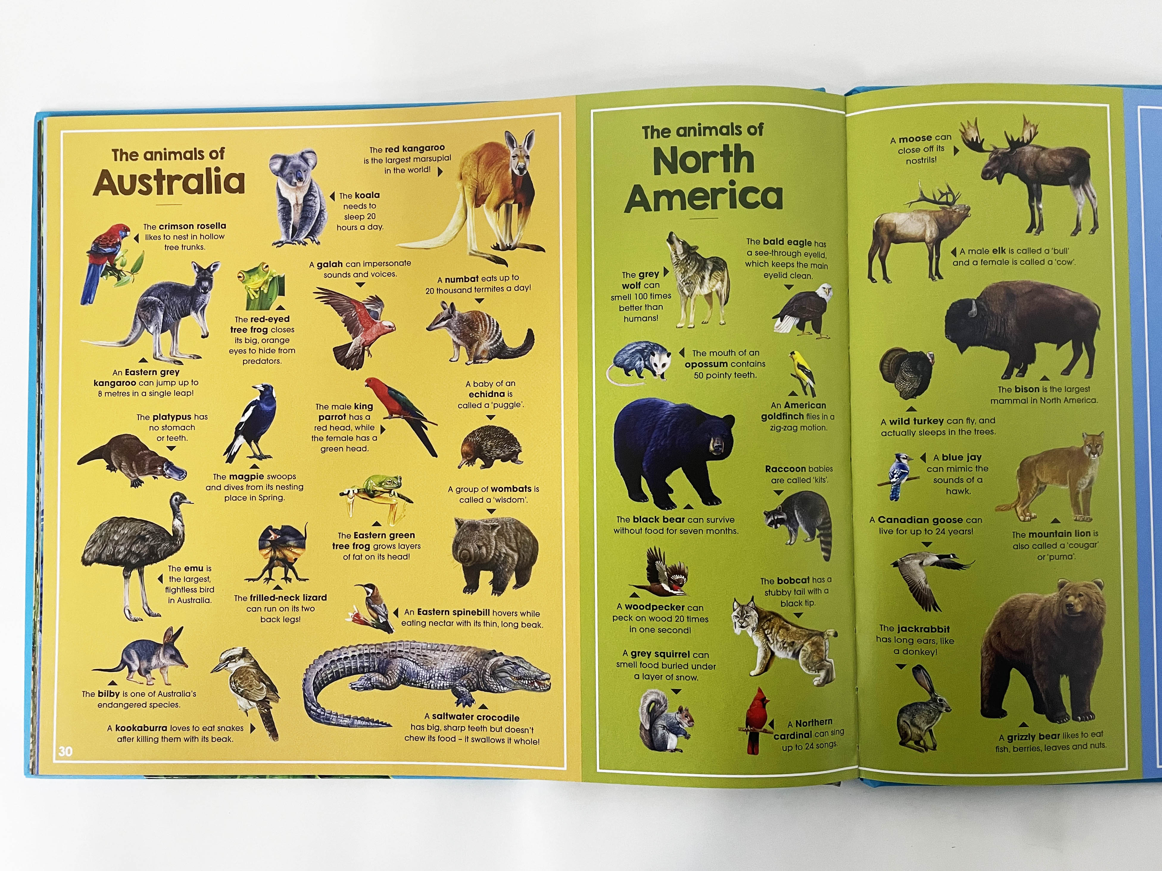 Animals of the World Book For Kids To Learn Interesting Facts About ...