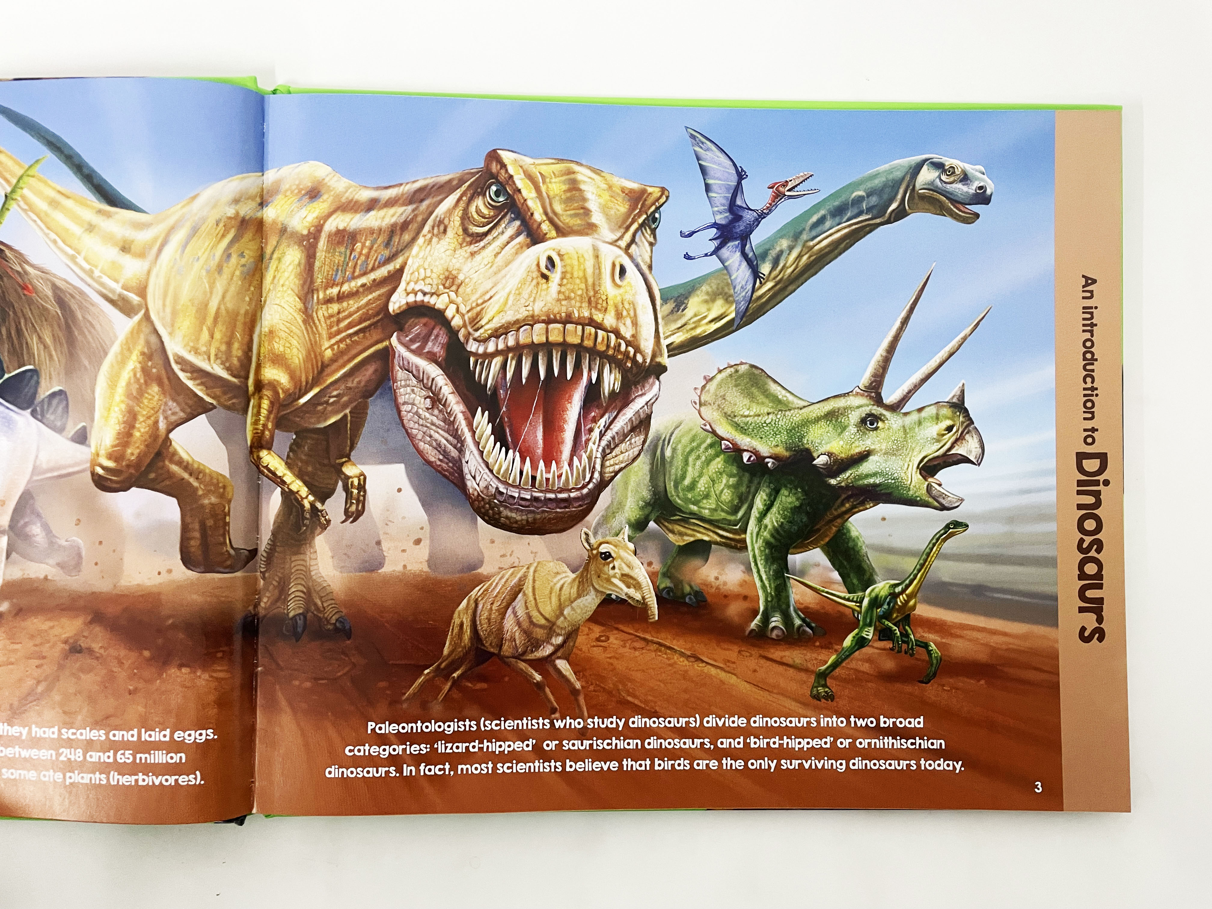 World of Dinosaurs Book For Kids To Learn Interesting Facts About ...