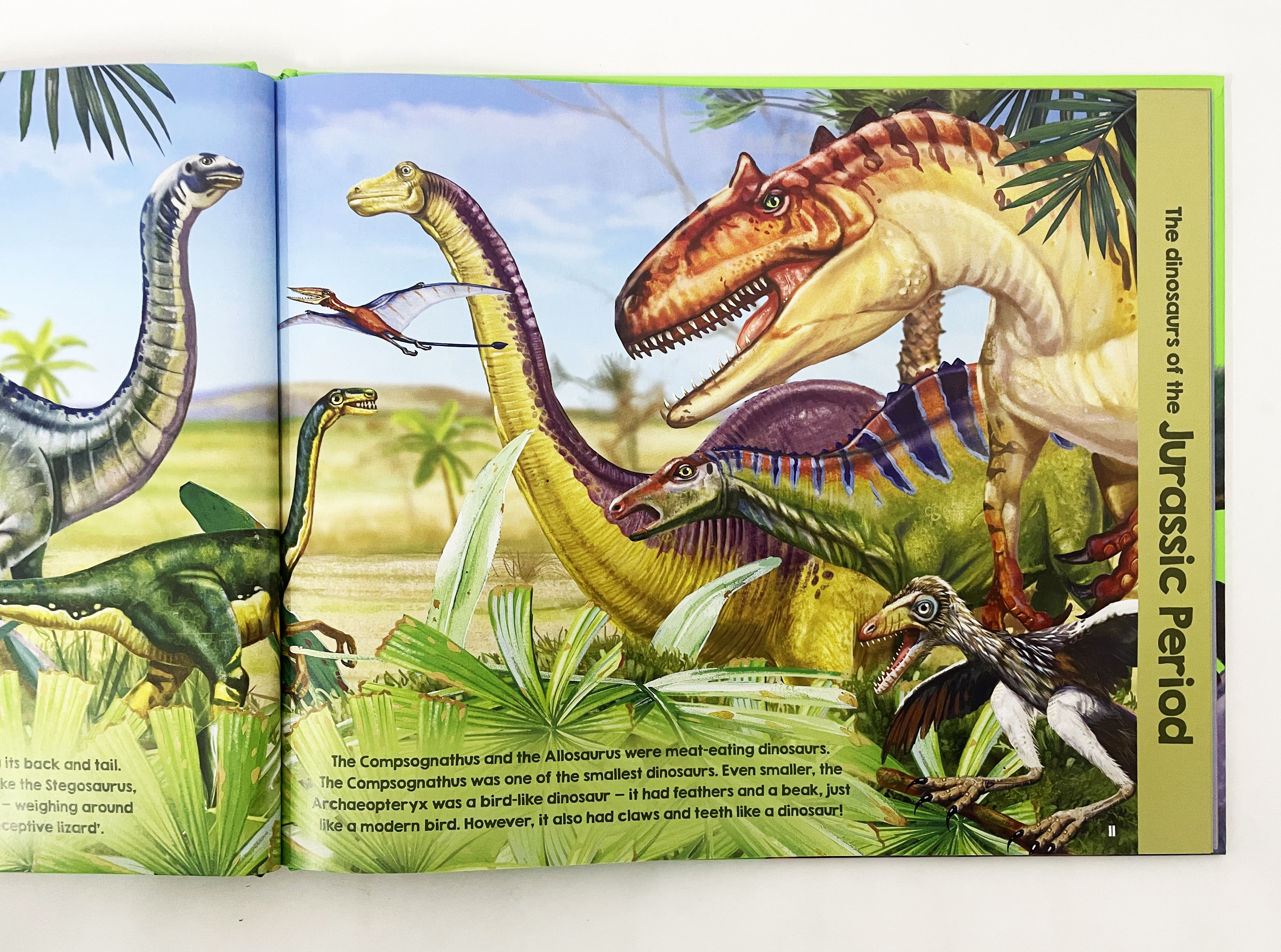 World of Dinosaurs Book For Kids To Learn Interesting Facts About ...