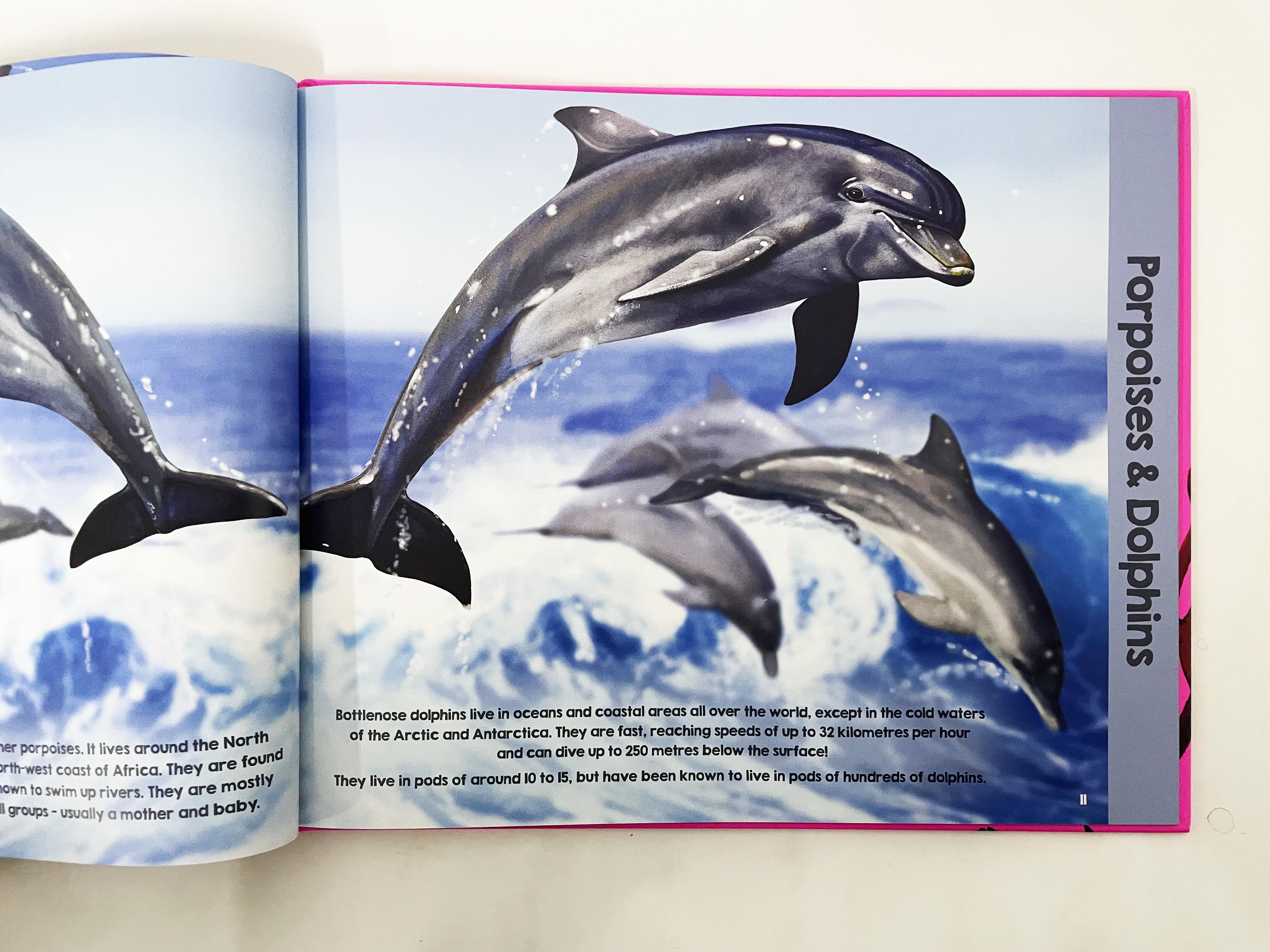Ocean Animals Book For Kids To Learn Interesting Facts About Sea ...