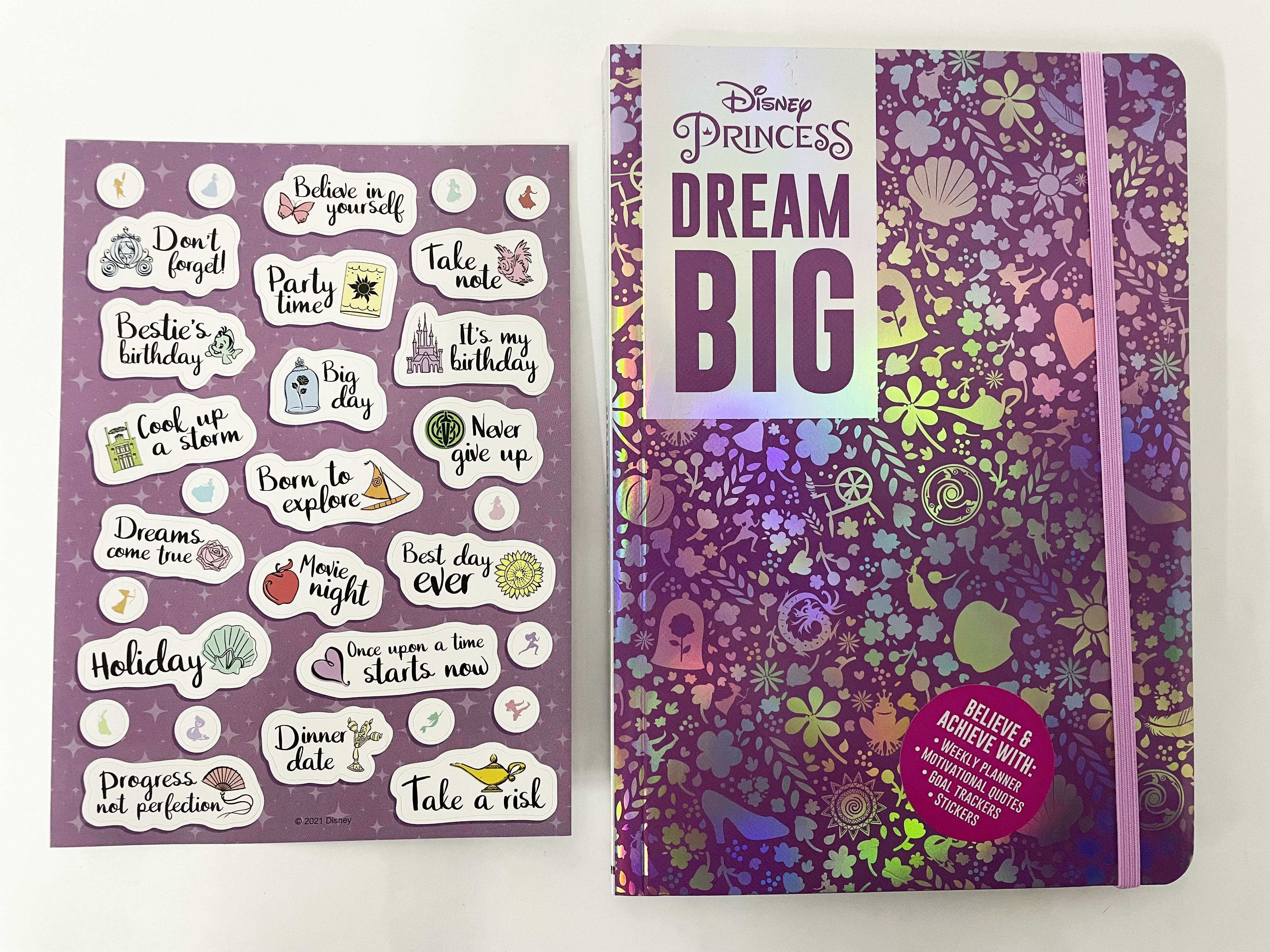 Disney Princess Illustrated Dream Big Journal with Weekly Planner For ...