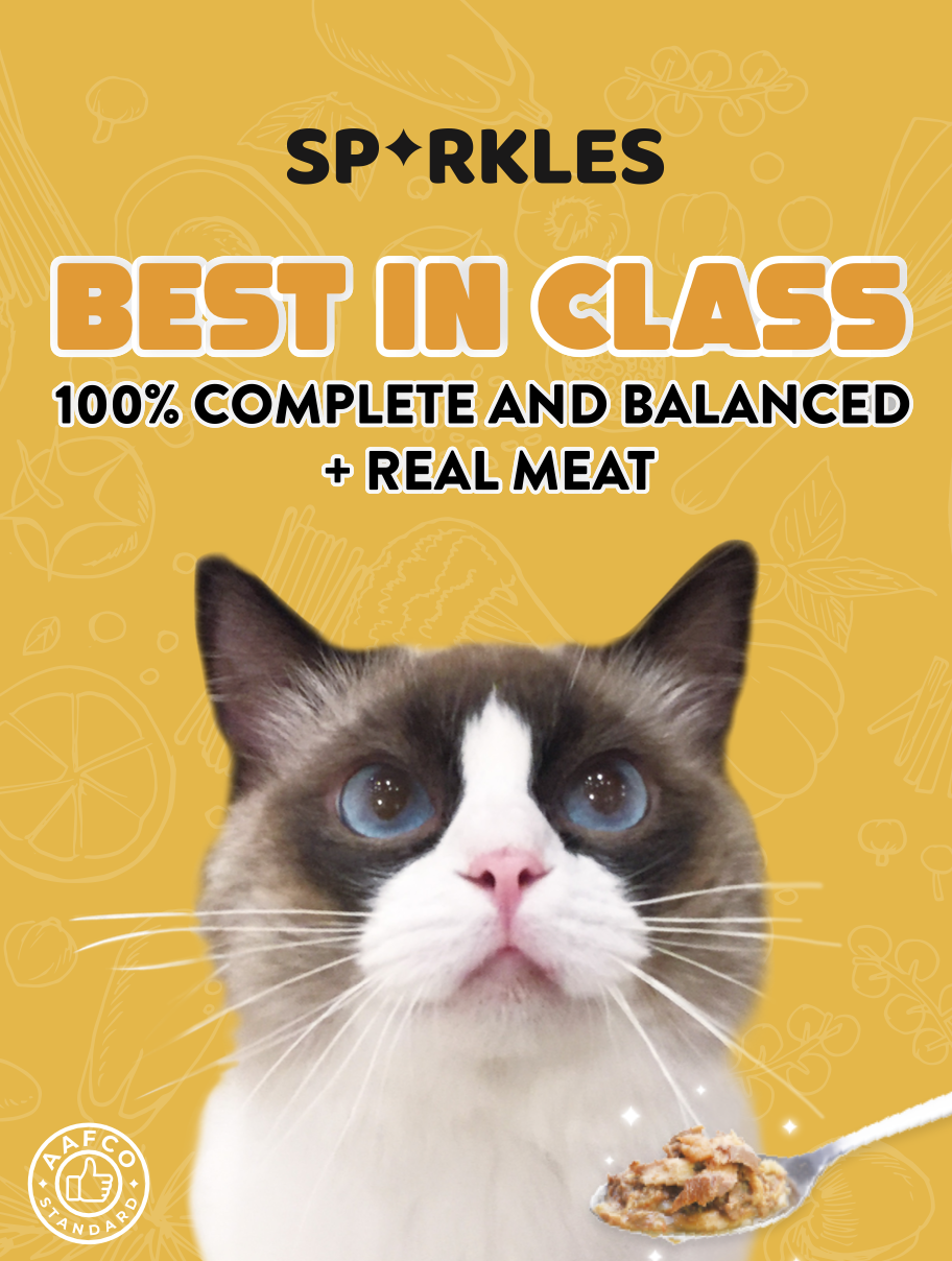 SPARKLES Jelly Licious Cat Wet Can Food (8 Flavours - 80G) | Shopee ...