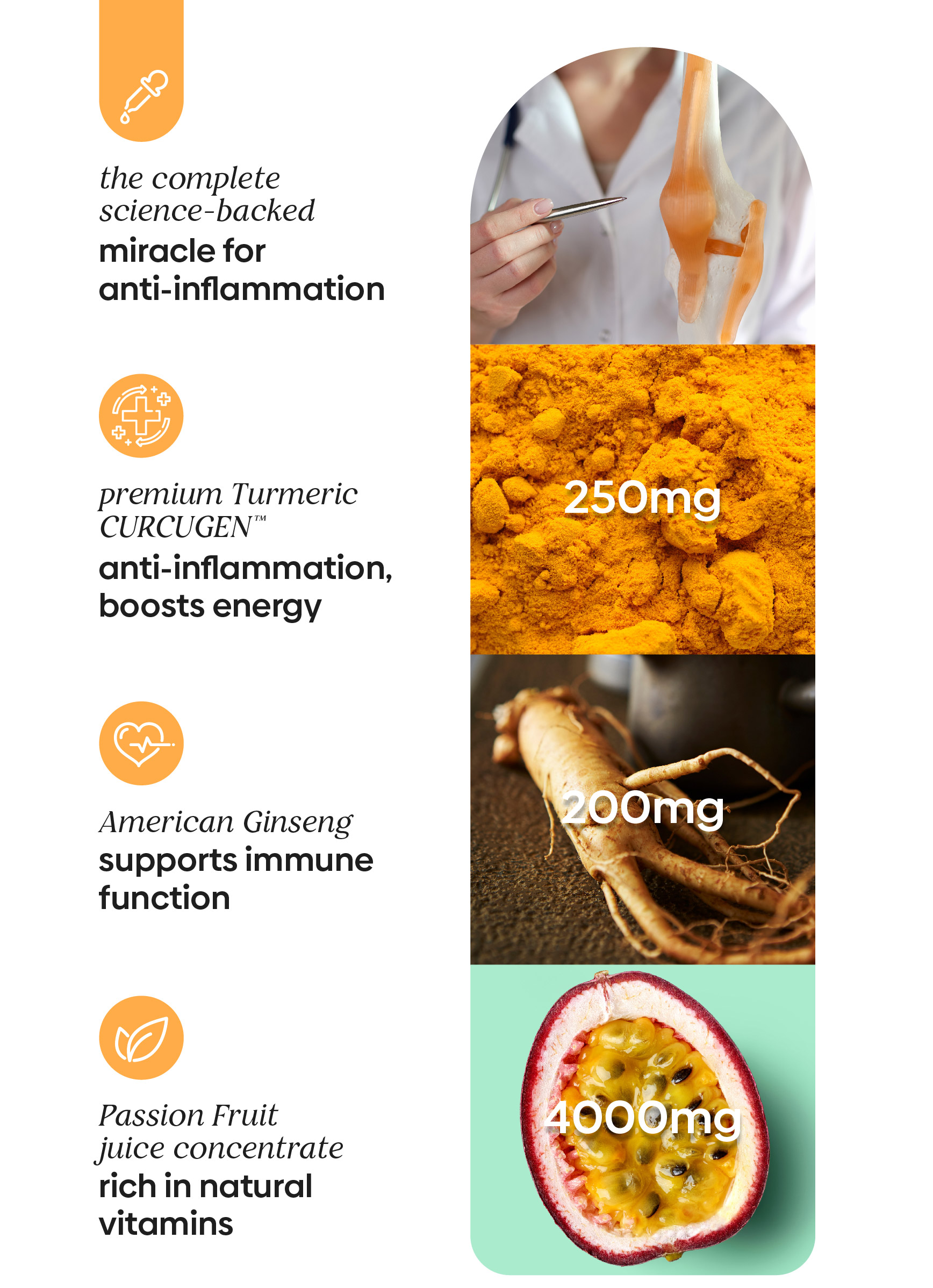 Purest Co Ginseng Turmeric (Boost Joints, Immunity & Energy) | Shopee ...