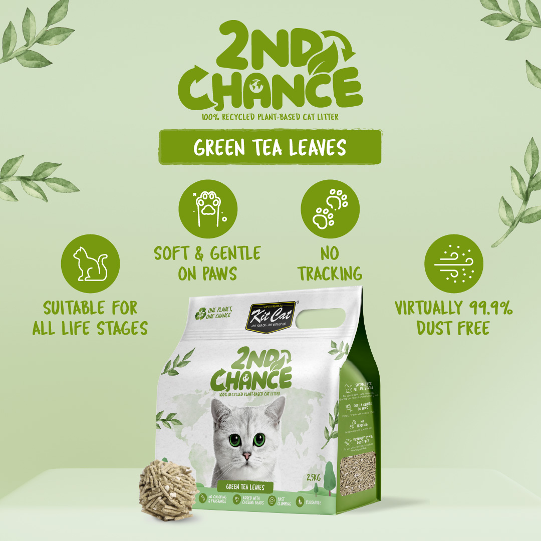 Kit Cat 2nd Chance / Second Chance Flushable Cat Litter (2.5kg x 6 bags) | Shopee Singapore