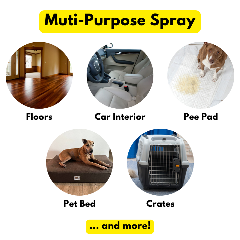 [SG] Pets Odor Remover Spray | Eliminates Urine, Feces, Vomit Odors ...