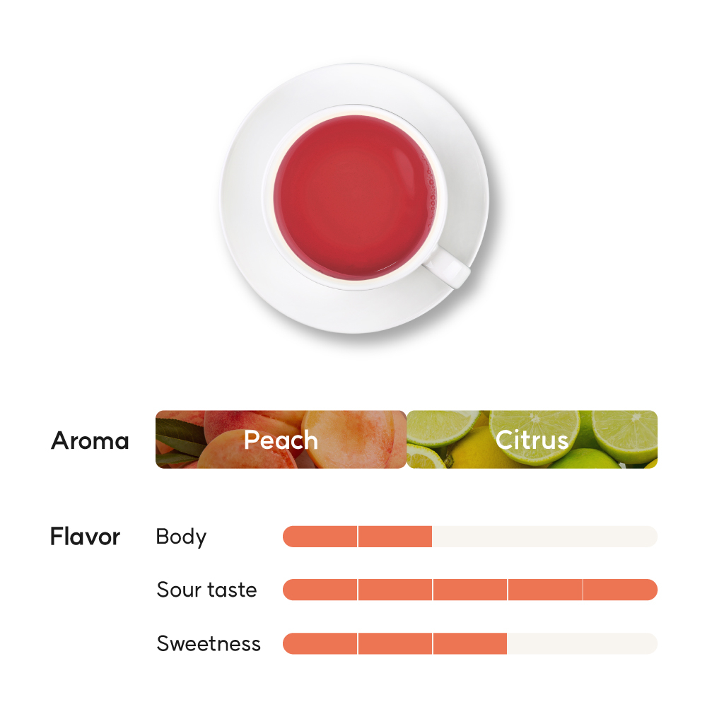 【MEDIPRESSO OFFICE 】 Flat Peach Kombucha Tea Capsule Bundle Pack (20 ...