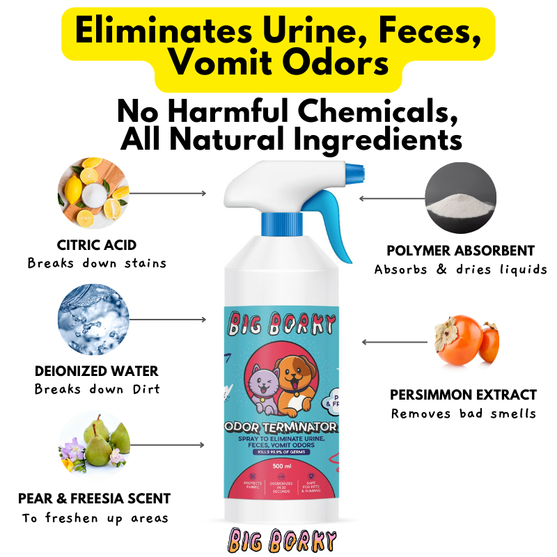 [SG] Pets Odor Remover Spray | Eliminates Urine, Feces, Vomit Odors ...