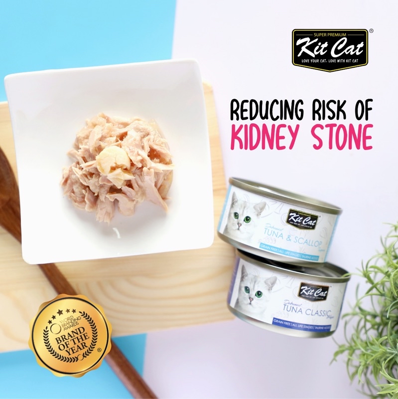 [MIXABLE] Kit Cat Kitcat Deboned Canned Can Food Wet Food topper 80g ...