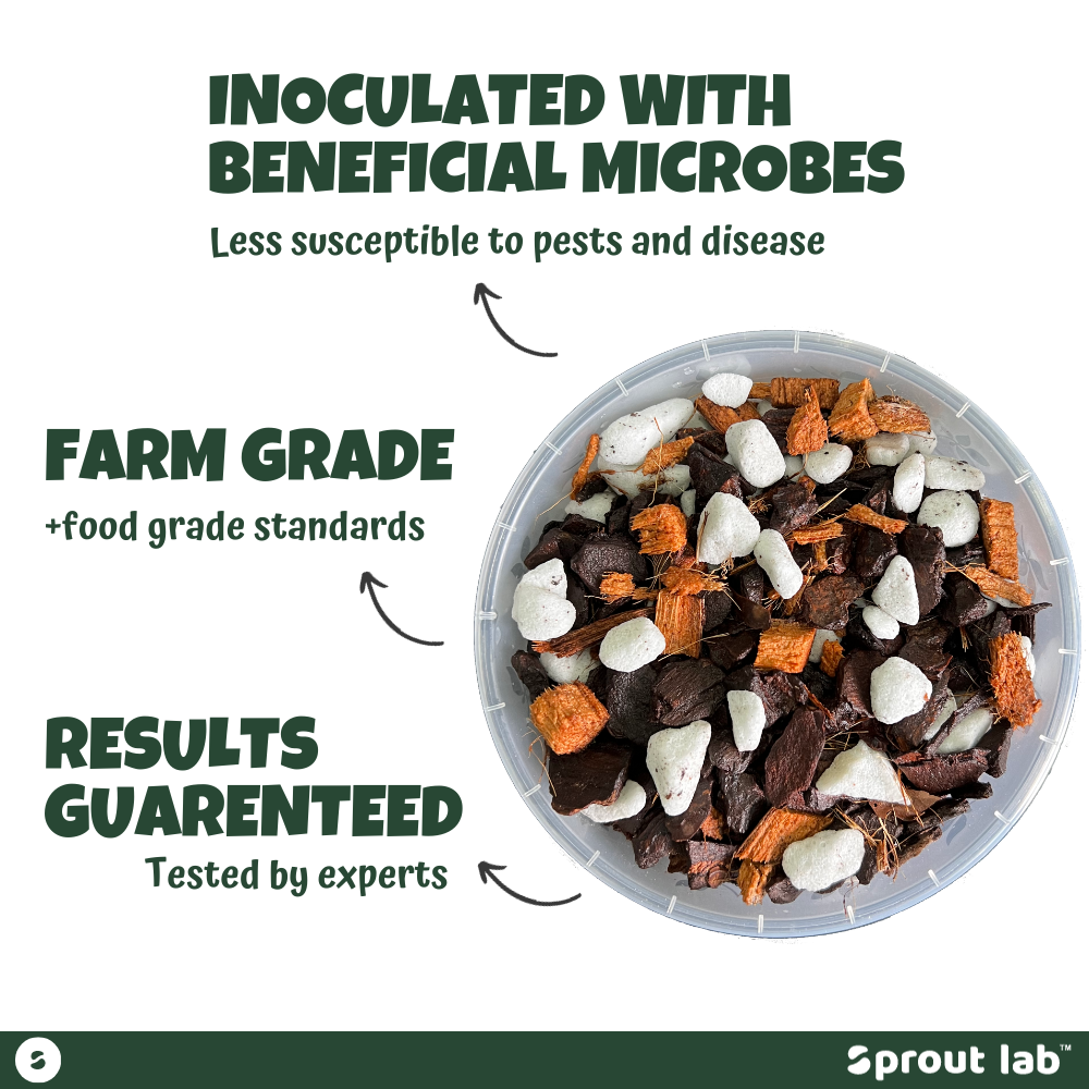 Sprout lab | AROID MIX 5L - For Houseplants: Monstera, Philodendron ...
