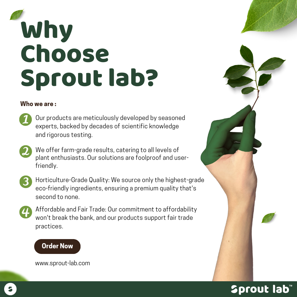 Sprout lab | AROID MIX 5L - For Houseplants: Monstera, Philodendron ...
