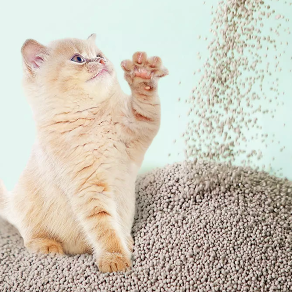 [3 FOR $19.9] PETPAL Low Dust Quick Clump Bentonite Cat Litter (10L | 6 ...