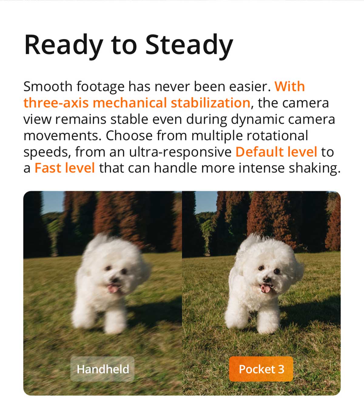 DJI Osmo Pocket 3 - Handheld | Pocket-Sized, Quick, Stable, Accurate ...