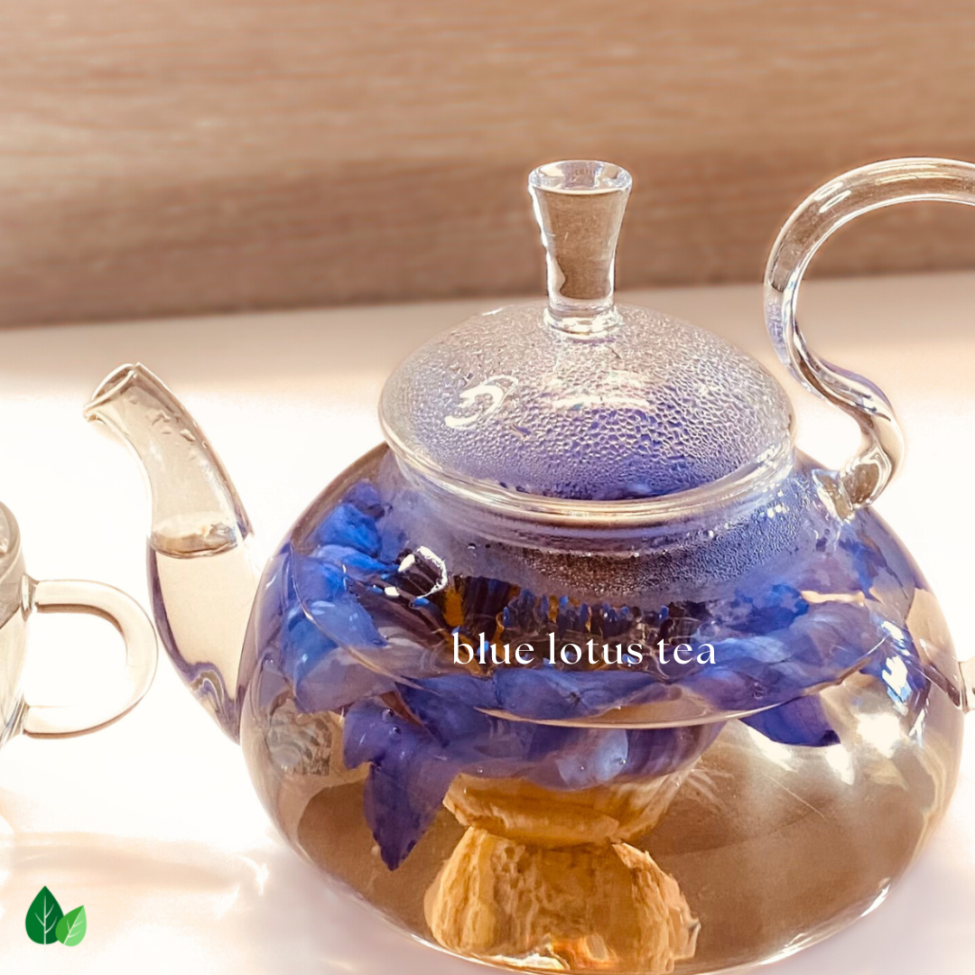 [SG Seller] Natural Blue Lotus Flower Tea - Product of Thailand (50g ...