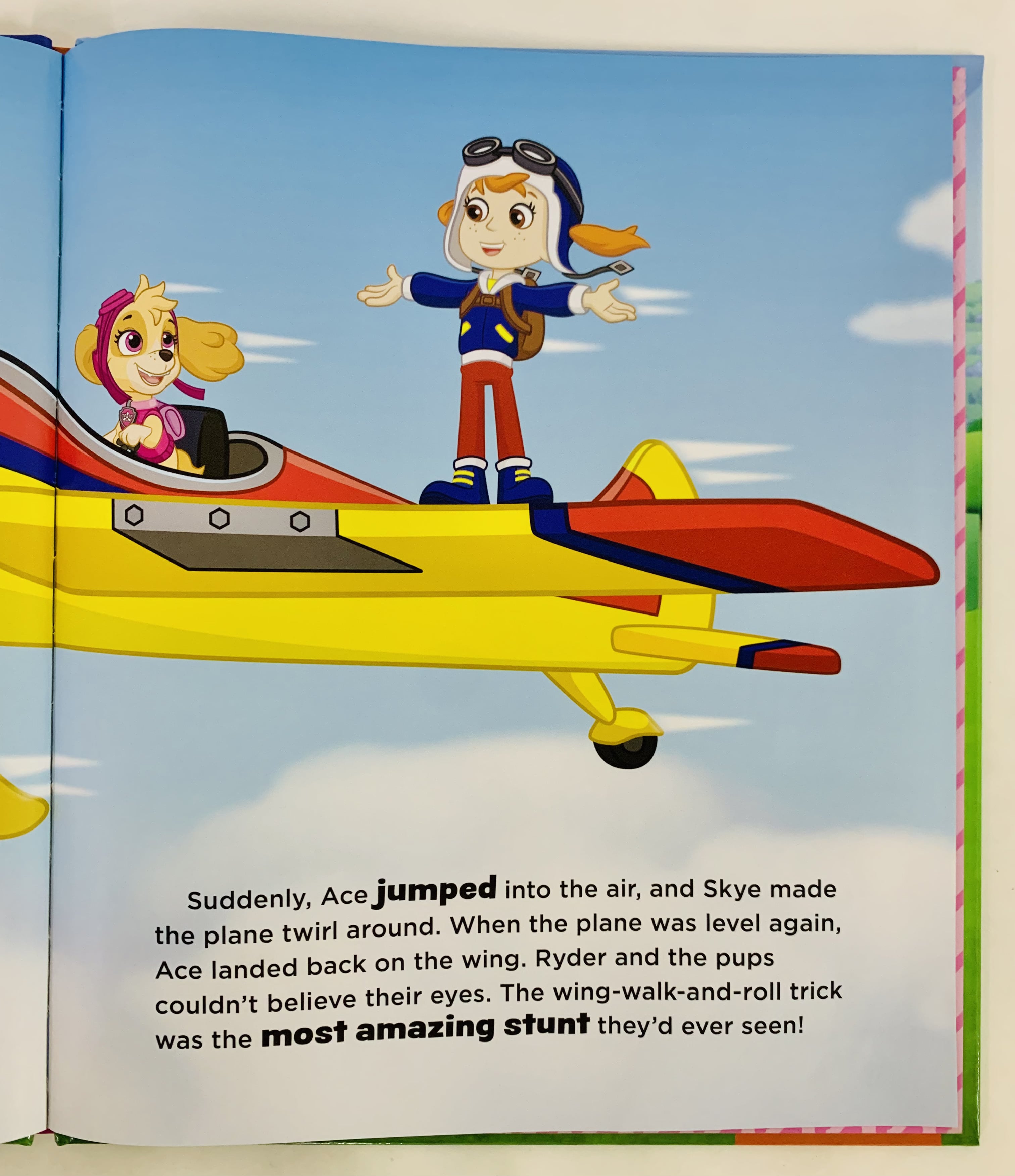 Paw Patrol High Flying Skye Story Book For Kids To Read With Bag Tag ...