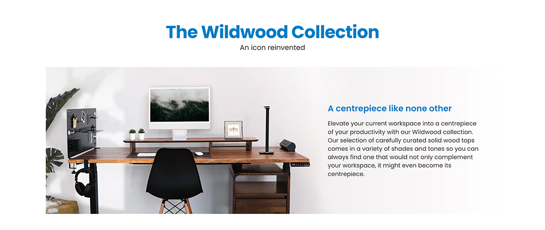 Omnidesk Classic Wildwood Regular (76cm Width) - Standing Desk | Shopee ...