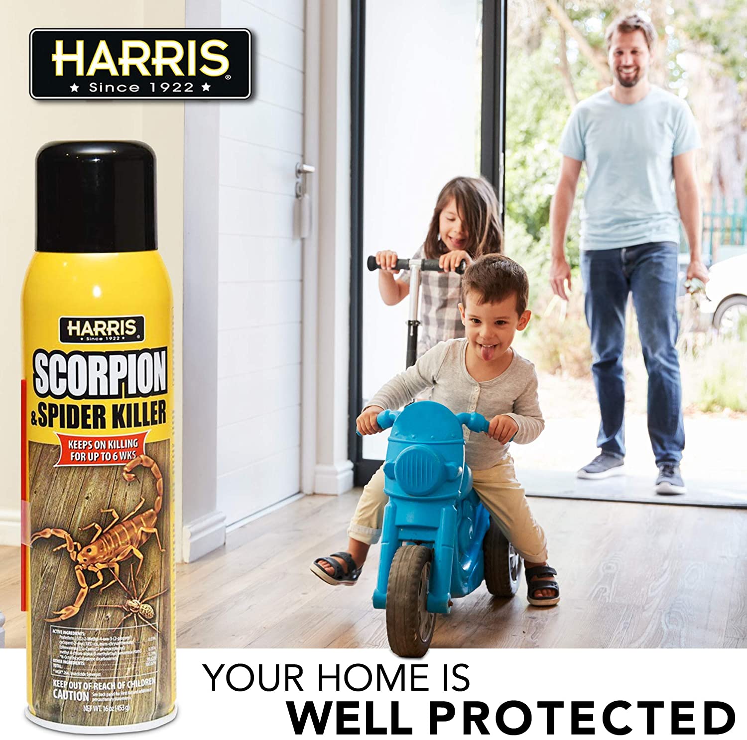 Harris Scorpion and Spider & Multiple Insect Killer / Insecticide 16oz ...