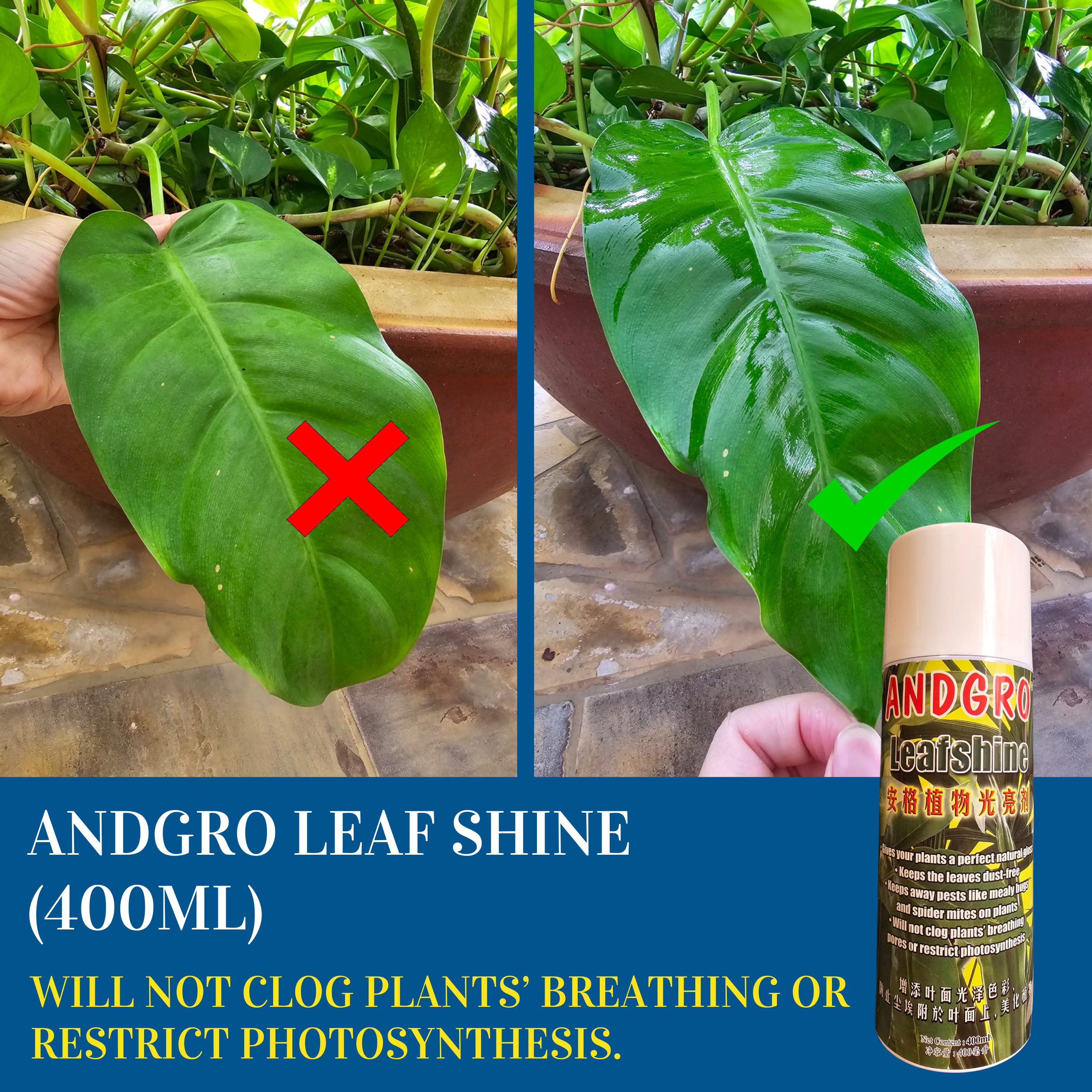 ANDGRO Leaf Shine (400ml) (natural healthy plants gloss) | Shopee Singapore