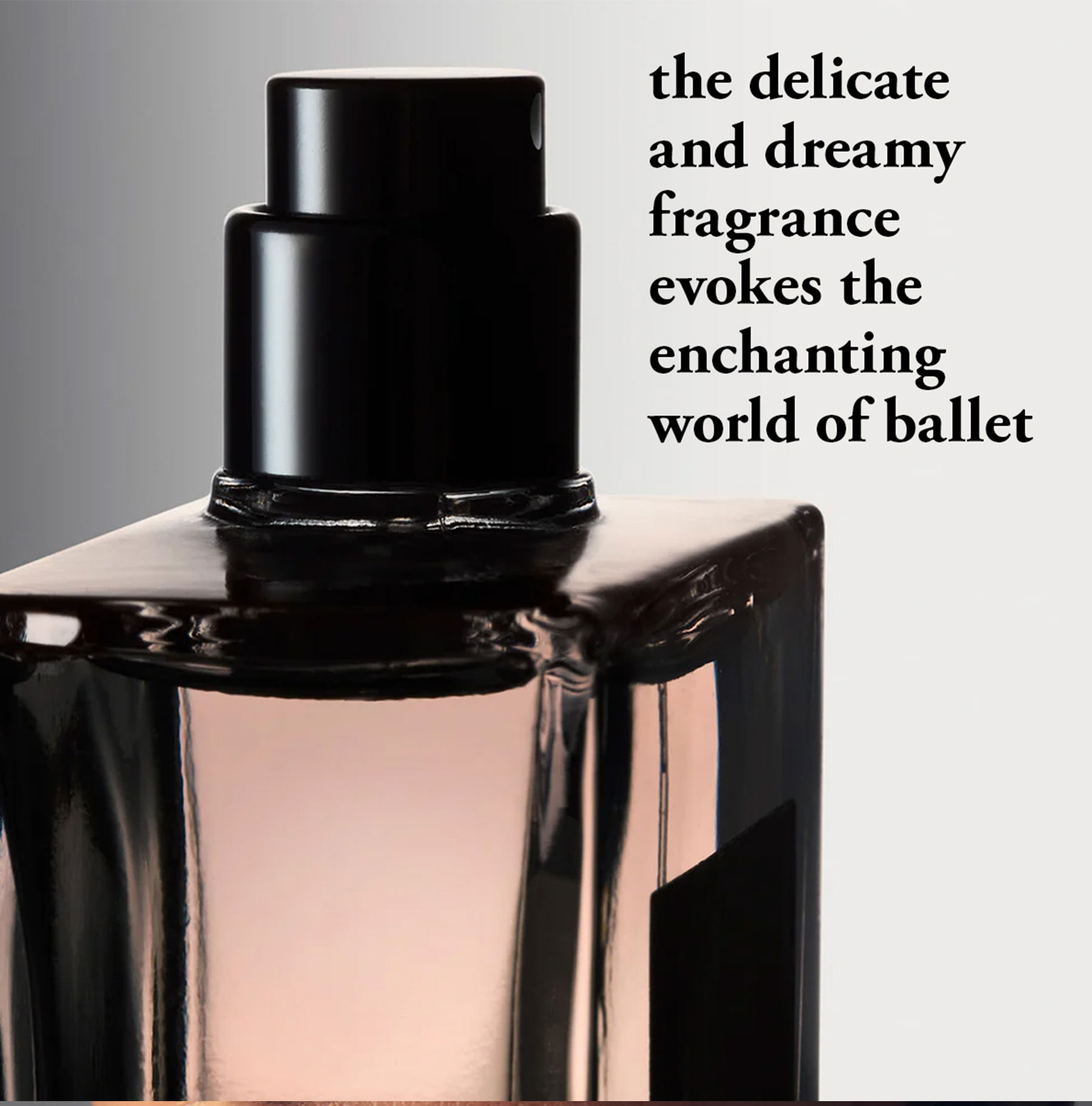 philosophy amazing grace ballet rose eau de toilette 60ml (with rose ...