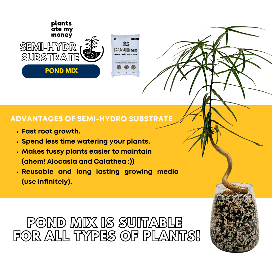 PAMM [SEMI-HYDRO MIX] 2L Pond Mix - Base, Pro or Chunky Pro. Soil ...