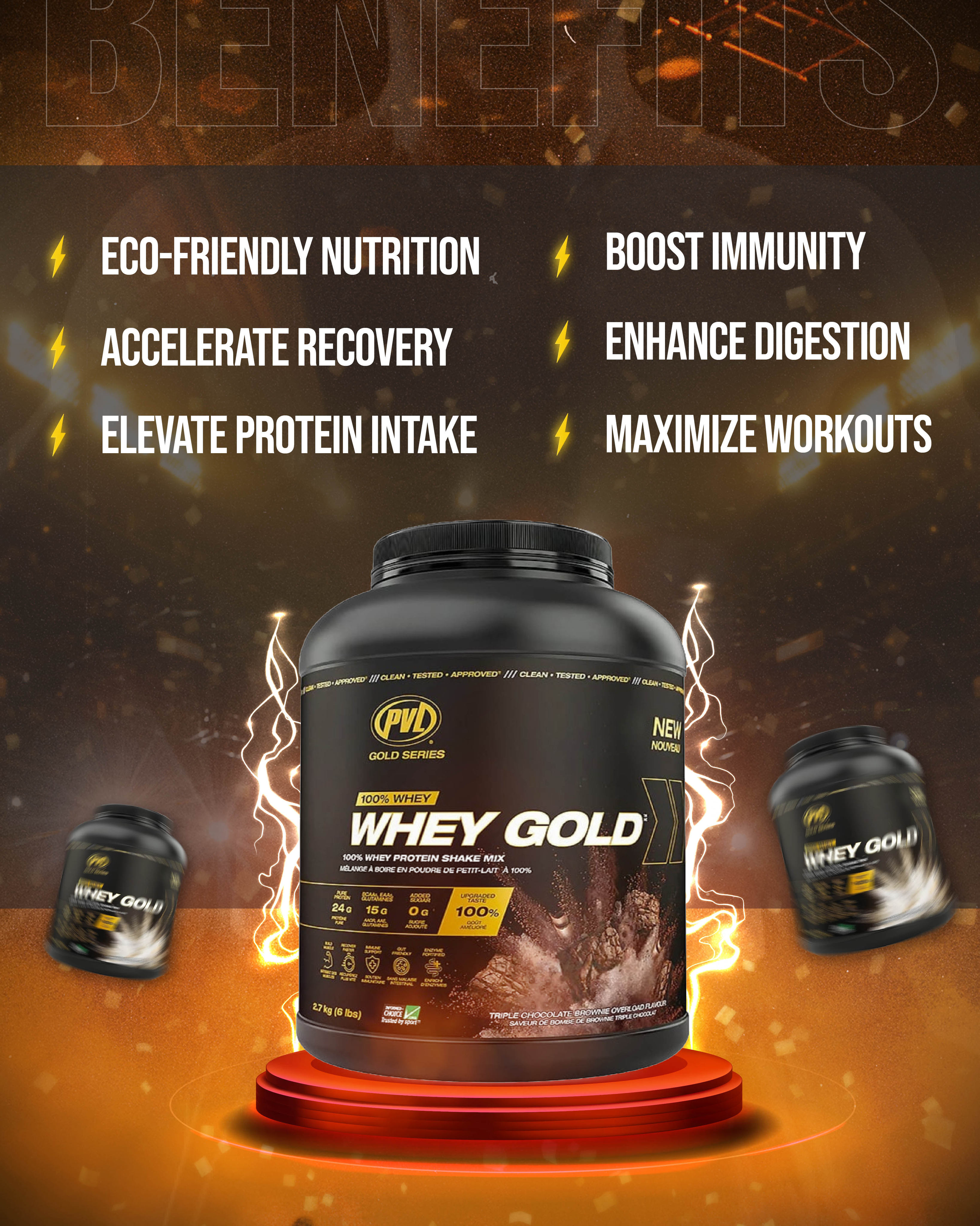 PVL Gold Series Whey Gold Protein Powder With Ultra- Filtered Whey ...