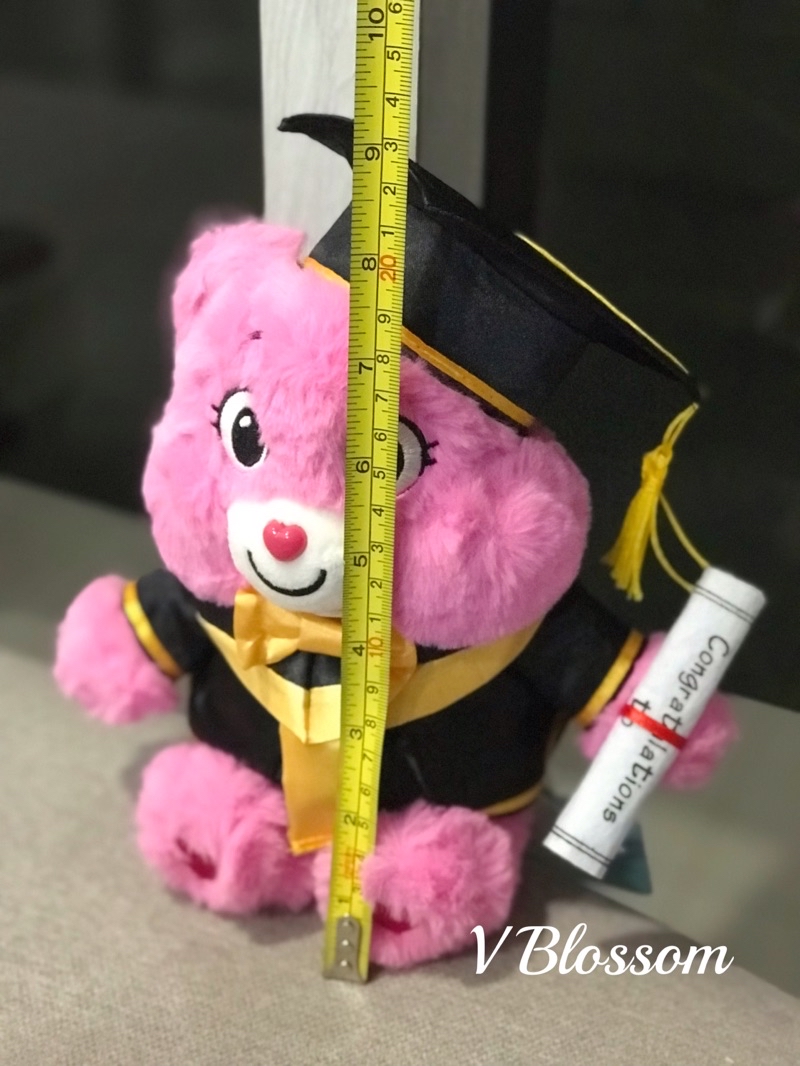 Graduation Care Bears modified by AUTHENTIC Care Bears Graduation Plush ...