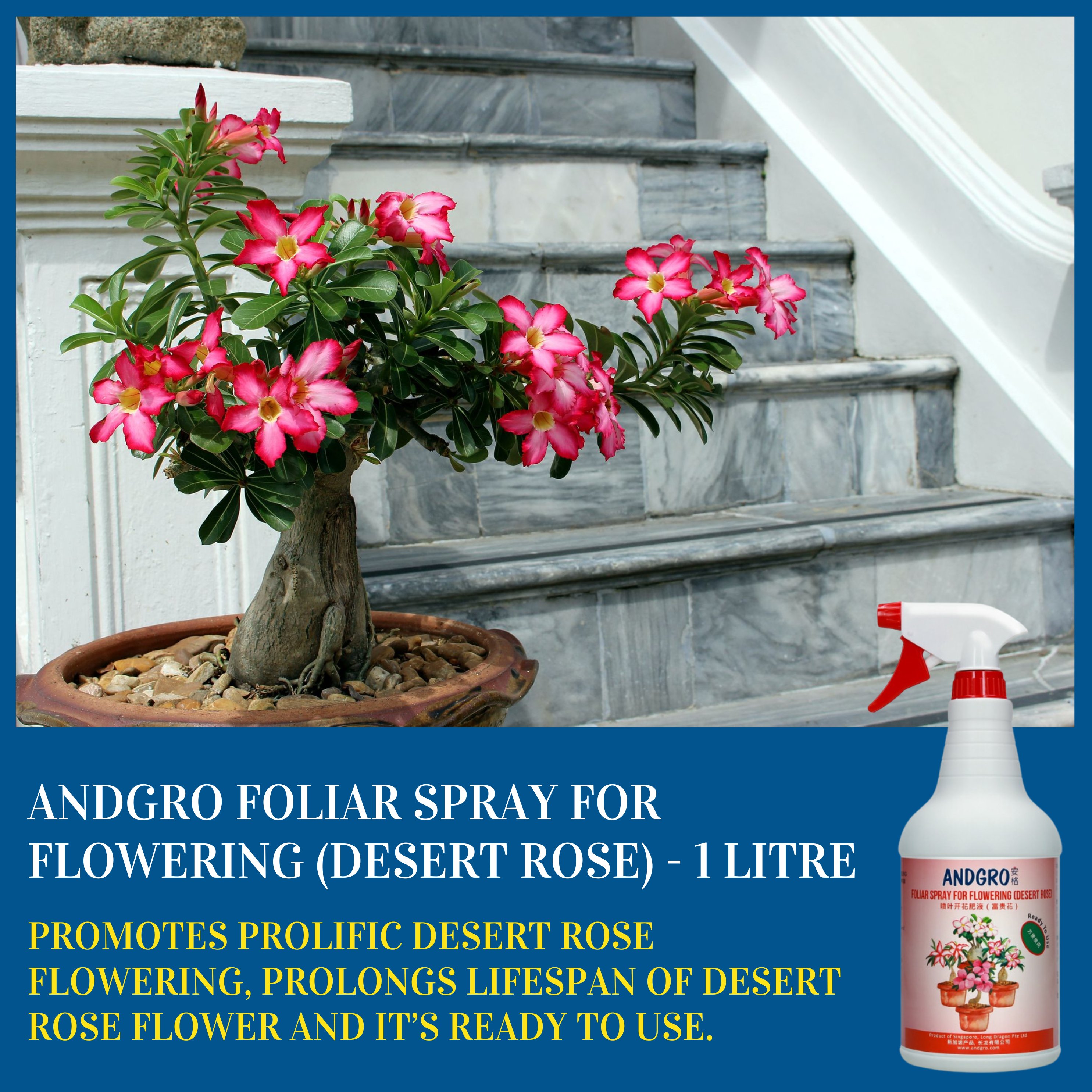 ANDGRO Foliar Spray for Flowering - Desert Rose (1000ml) | Shopee Singapore