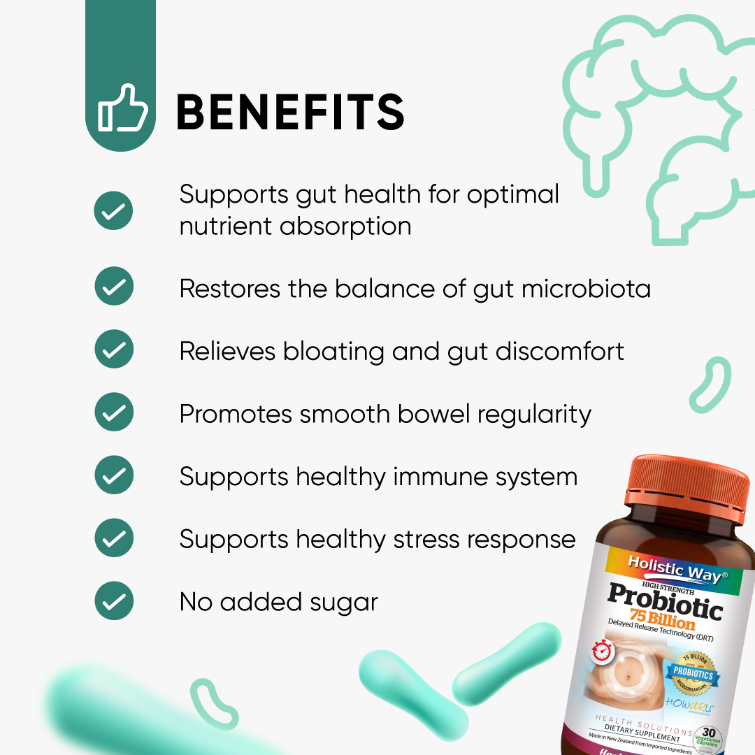Exp: Aug 2026 [Bundle of 4] Holistic Way High Strength Probiotic 75 ...