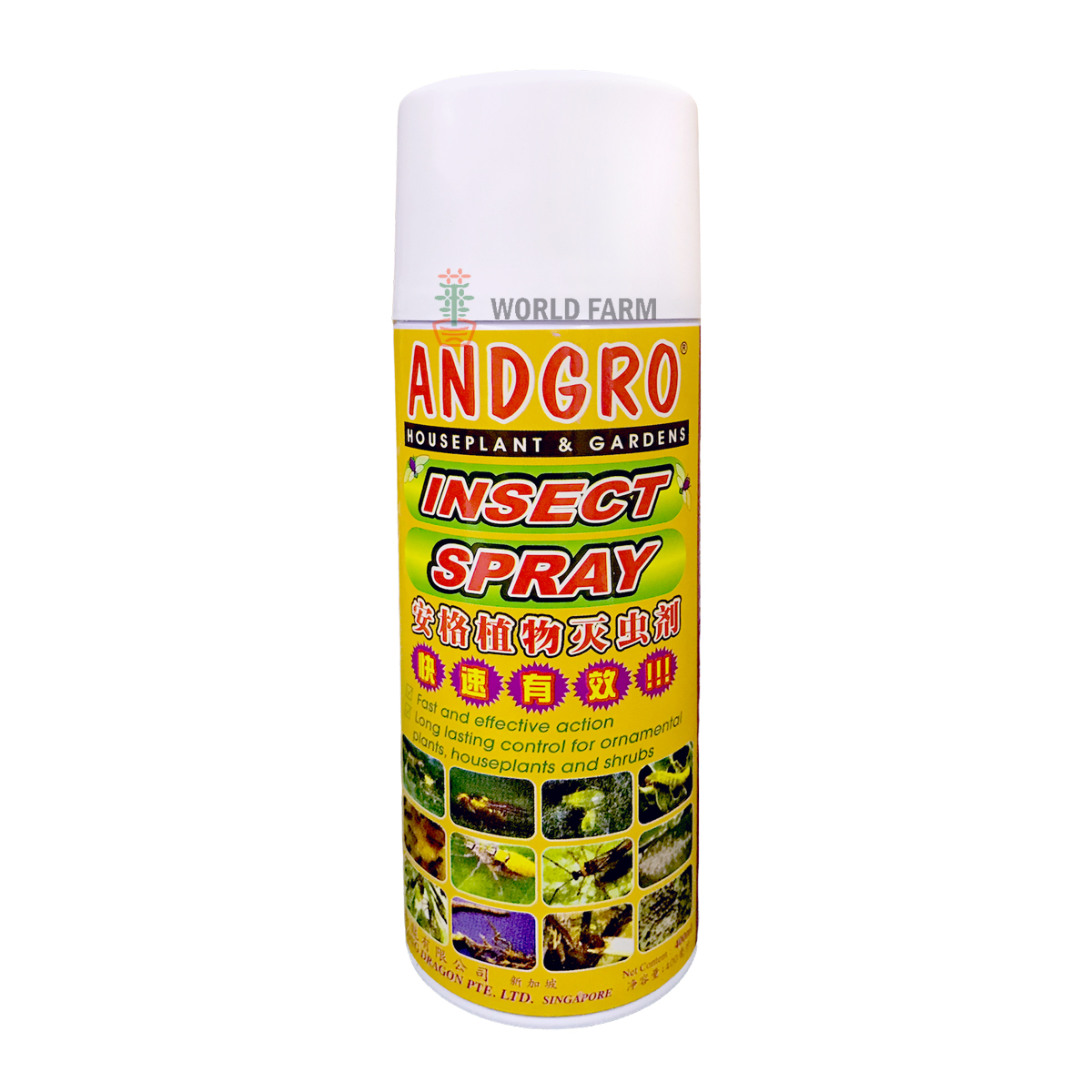 ANDGRO Insect Spray, (Insecticide / Pesticide), Aerosol Spray (400ml ...