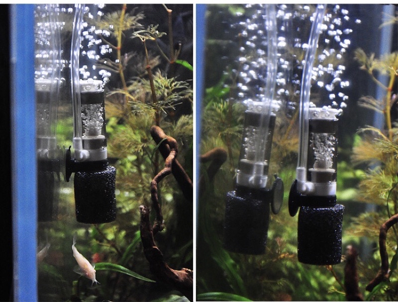 🇸🇬 SG Seller | Ultra-Quiet 2 in 1 Bio Mini Water Filter & Air Bubbler ...