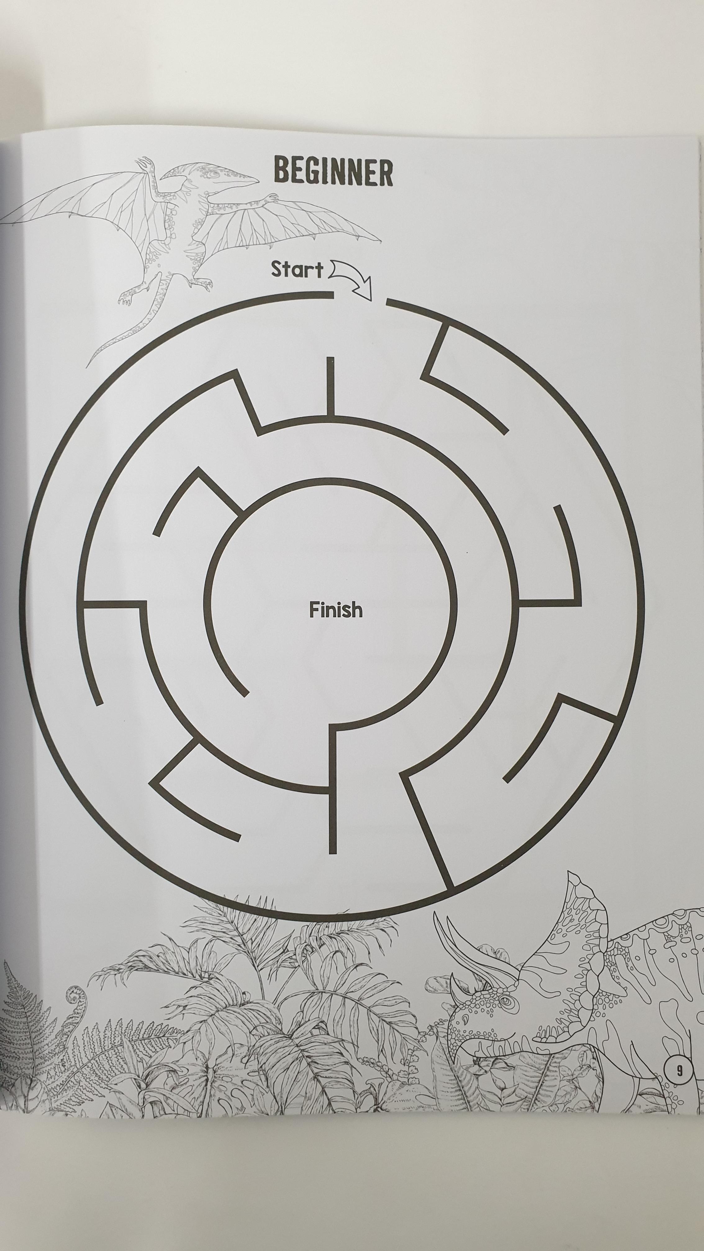 Dinosaurs Mazes & Colouring Activity Book for Children with over 40 ...