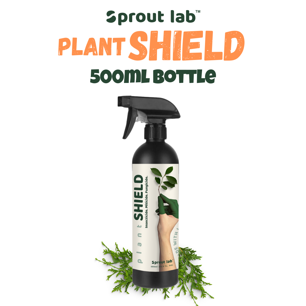 Sprout lab | Plant SHIELD Natural Plant Spray | 3 in 1 - Insecticide ...
