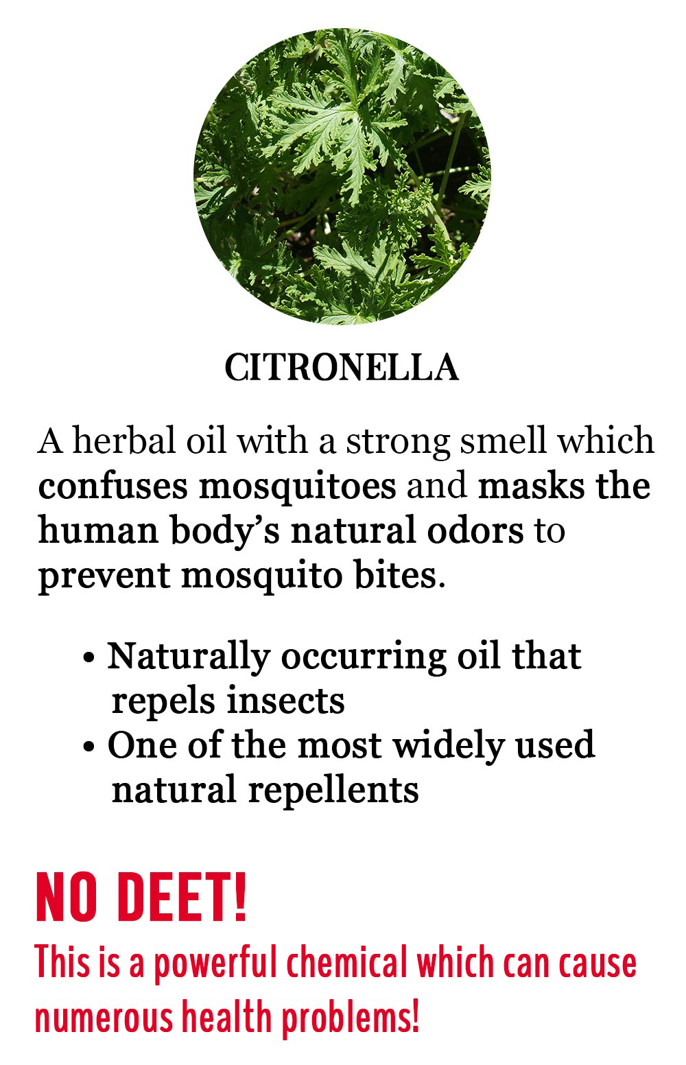 21st Century Double Strength Citronella Mosquito Patch - No Camphor 12 ...