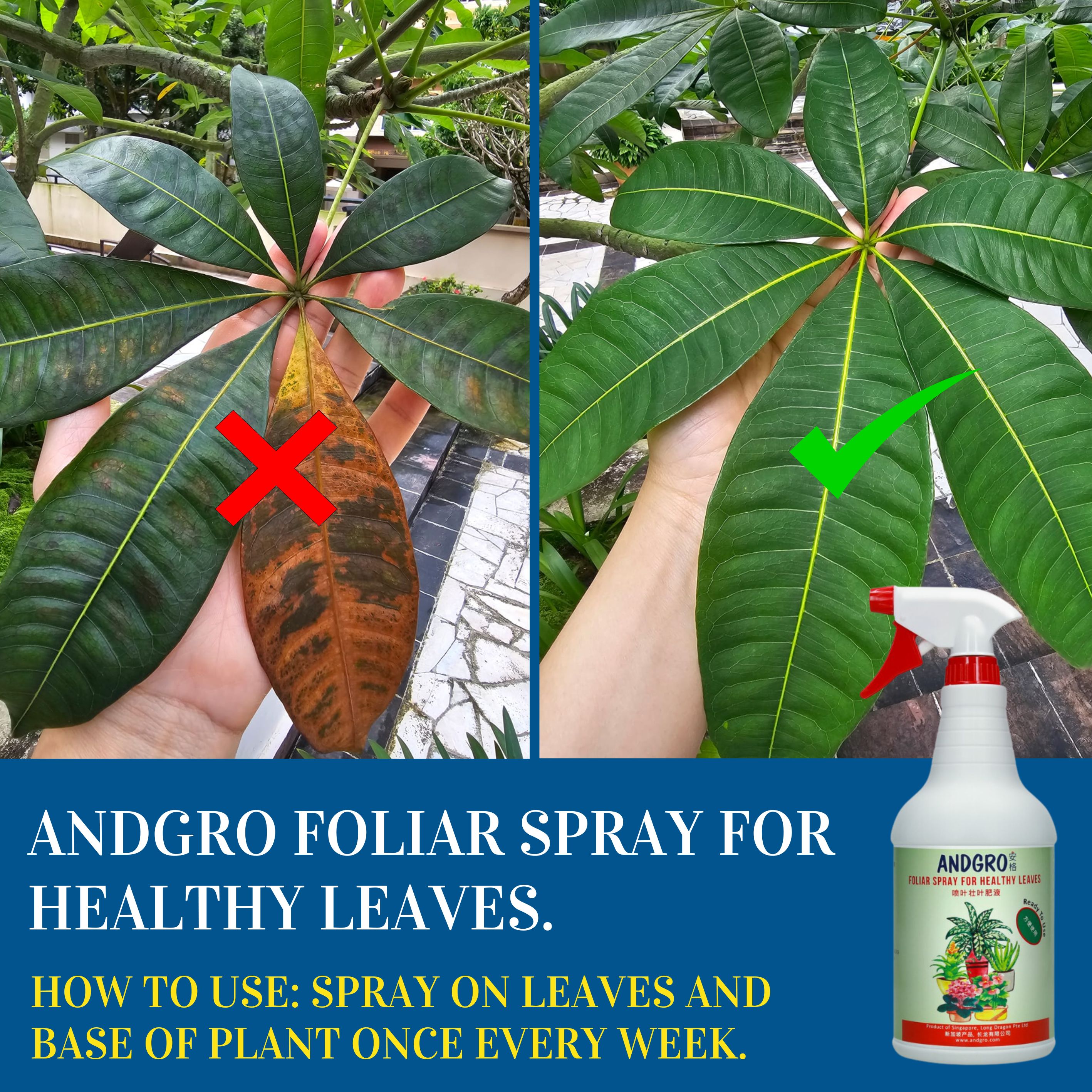 ANDGRO Foliar Spray for Flowering (Desert Rose) & Healthy Leaves Bundle ...