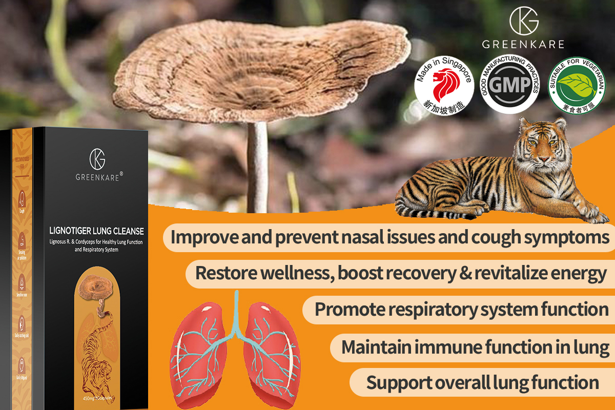 Greenkare Tiger Milk Mushroom Extract 虎乳芝| Relief Sinus,Cough,Lung ...